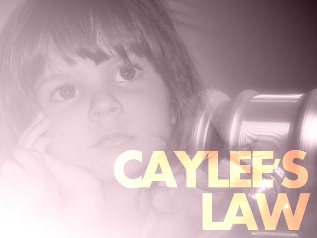 Caylee's Law - A Duty To Protect Children | NC Family Lawyer